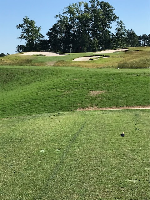 NC Golfer: Lonnie Poole Golf Course: A view from 7400 yards