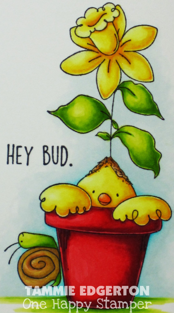 One Happy Stamper...: HEY BUD