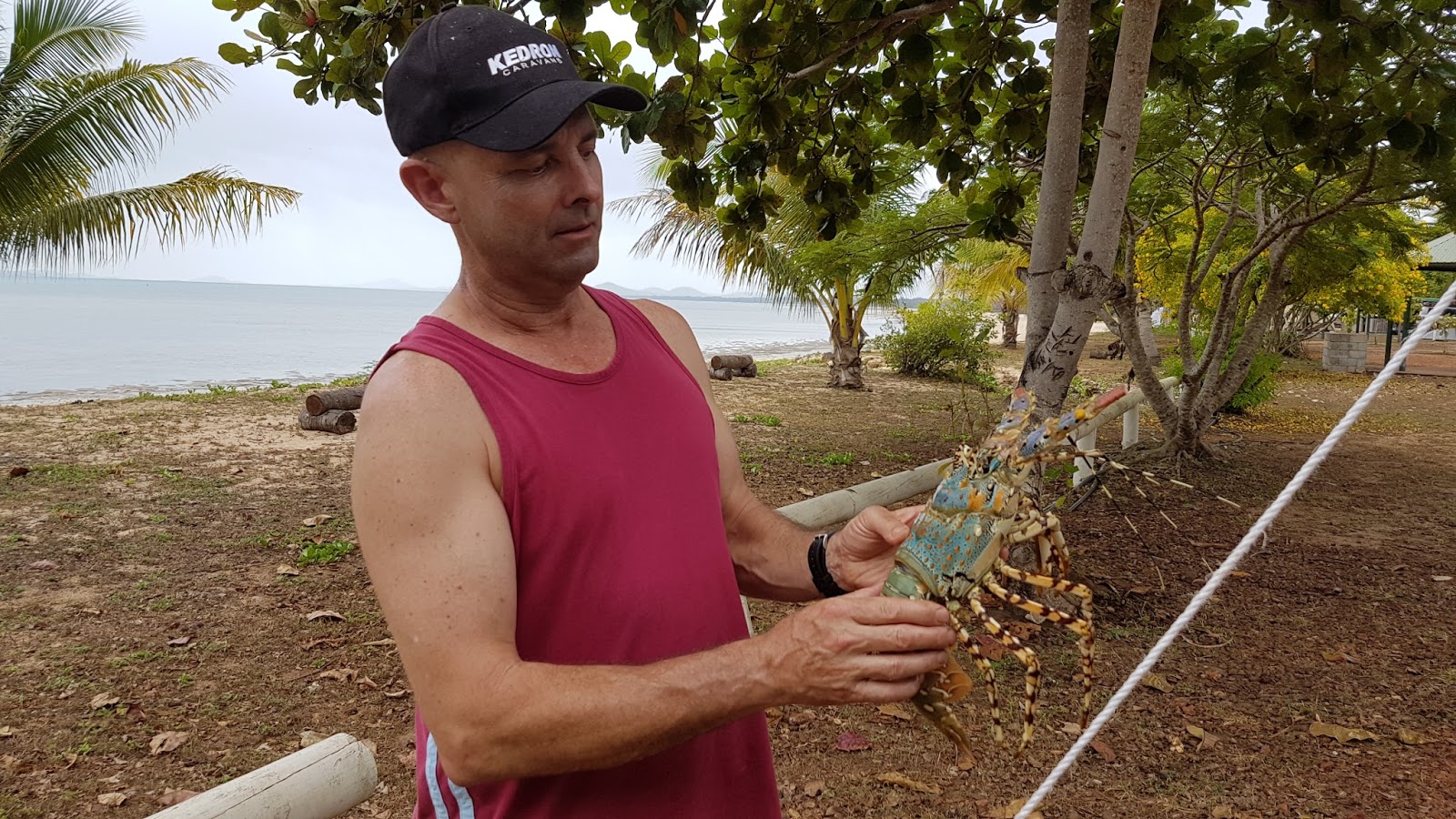 Out of Service - Exploring Australia: Seisia - Blog 4