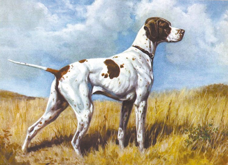 Razas de perros extintas