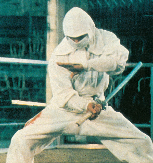 The AMERICAN NINJA Saga 米忍者: The Others