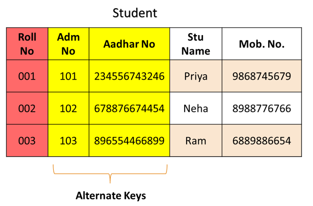 DBMS Table Keys - CBSE CS and IP