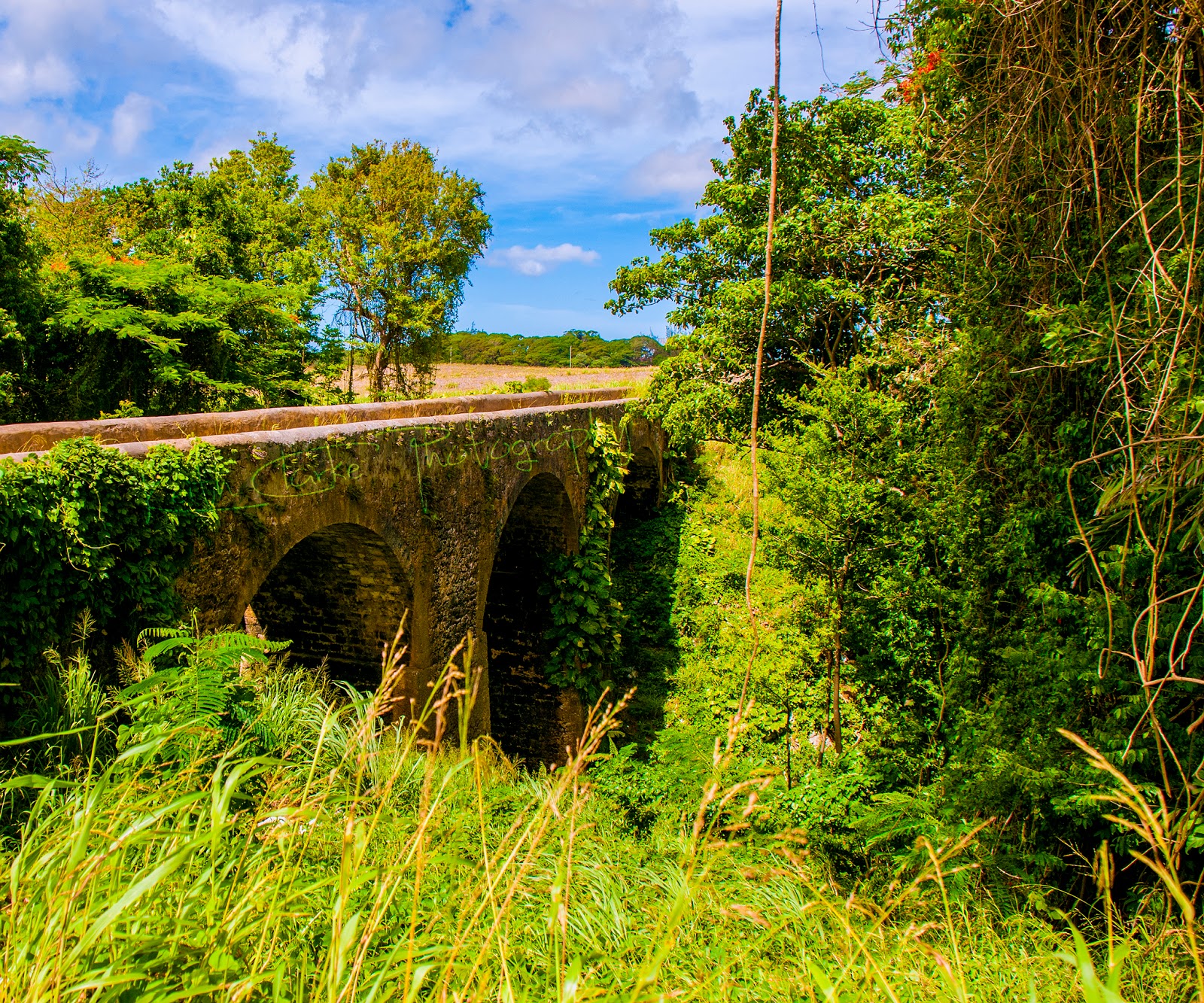 Blackmans Bridge & Gully