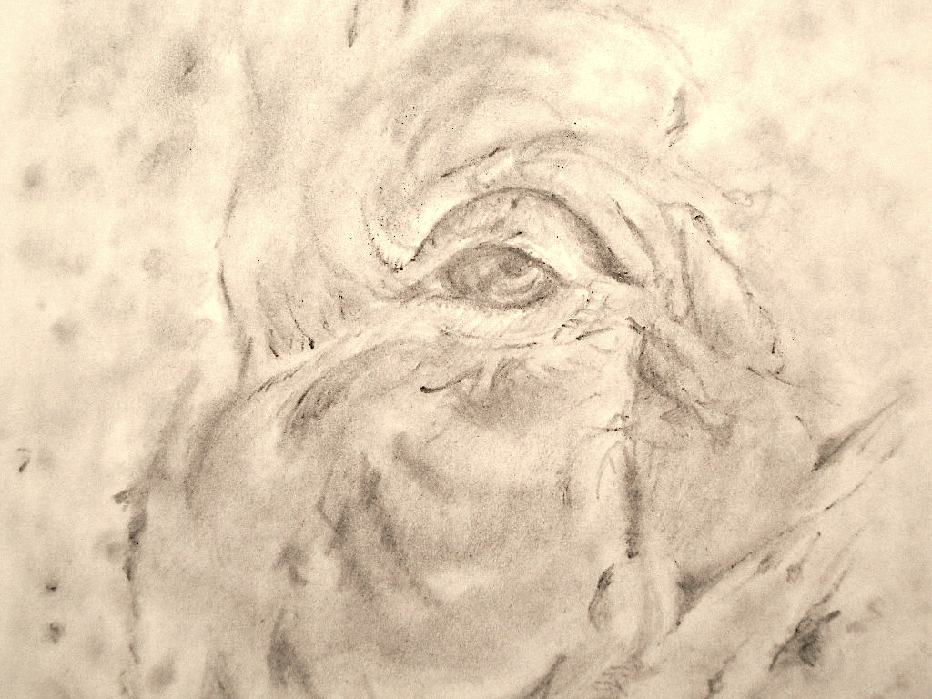 Graphite Powder Drawing Techniques