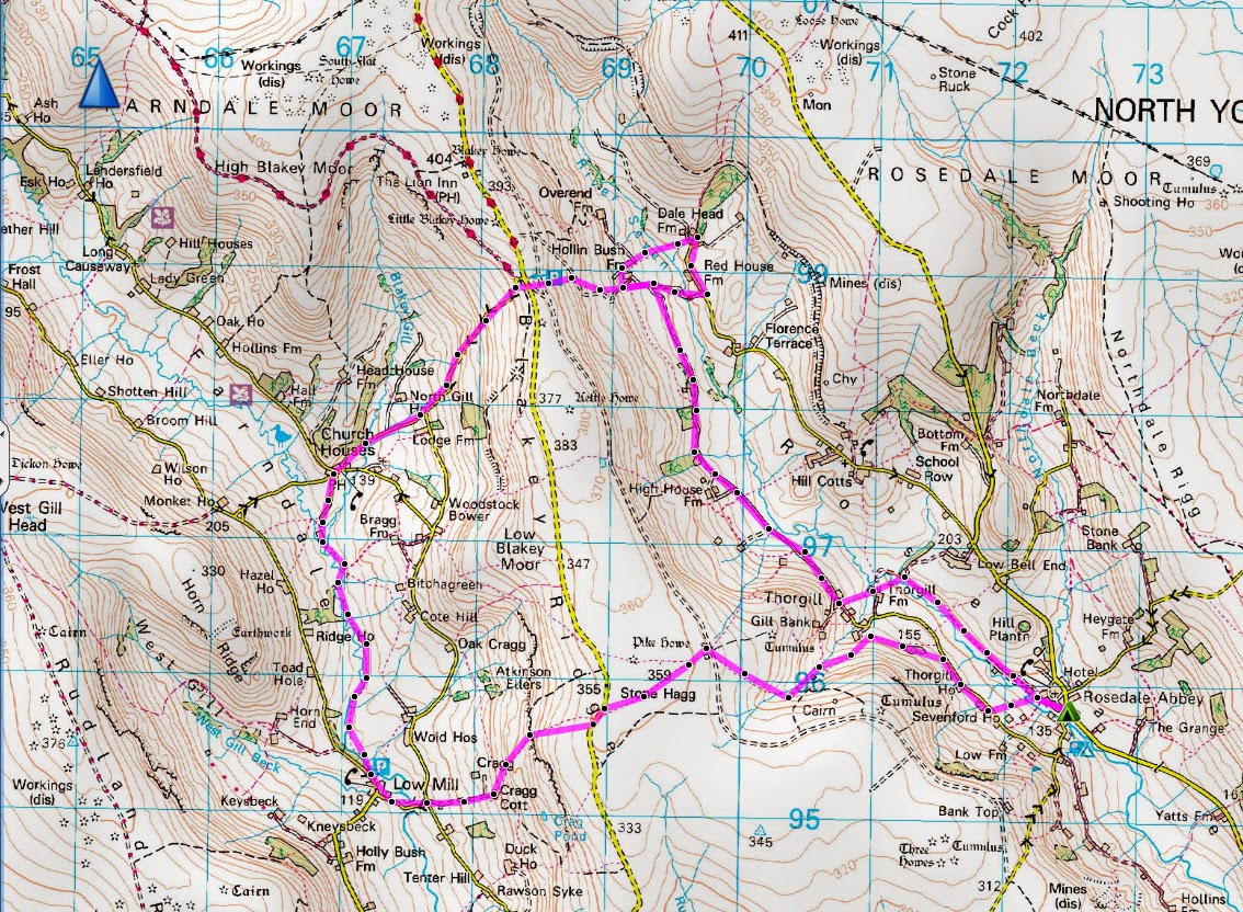 Spring in Farndale and Rosedale (North York Moors)
