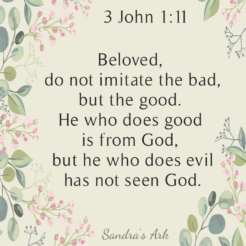 Sandra's Ark: Reading through The Bible - 3 JOHN