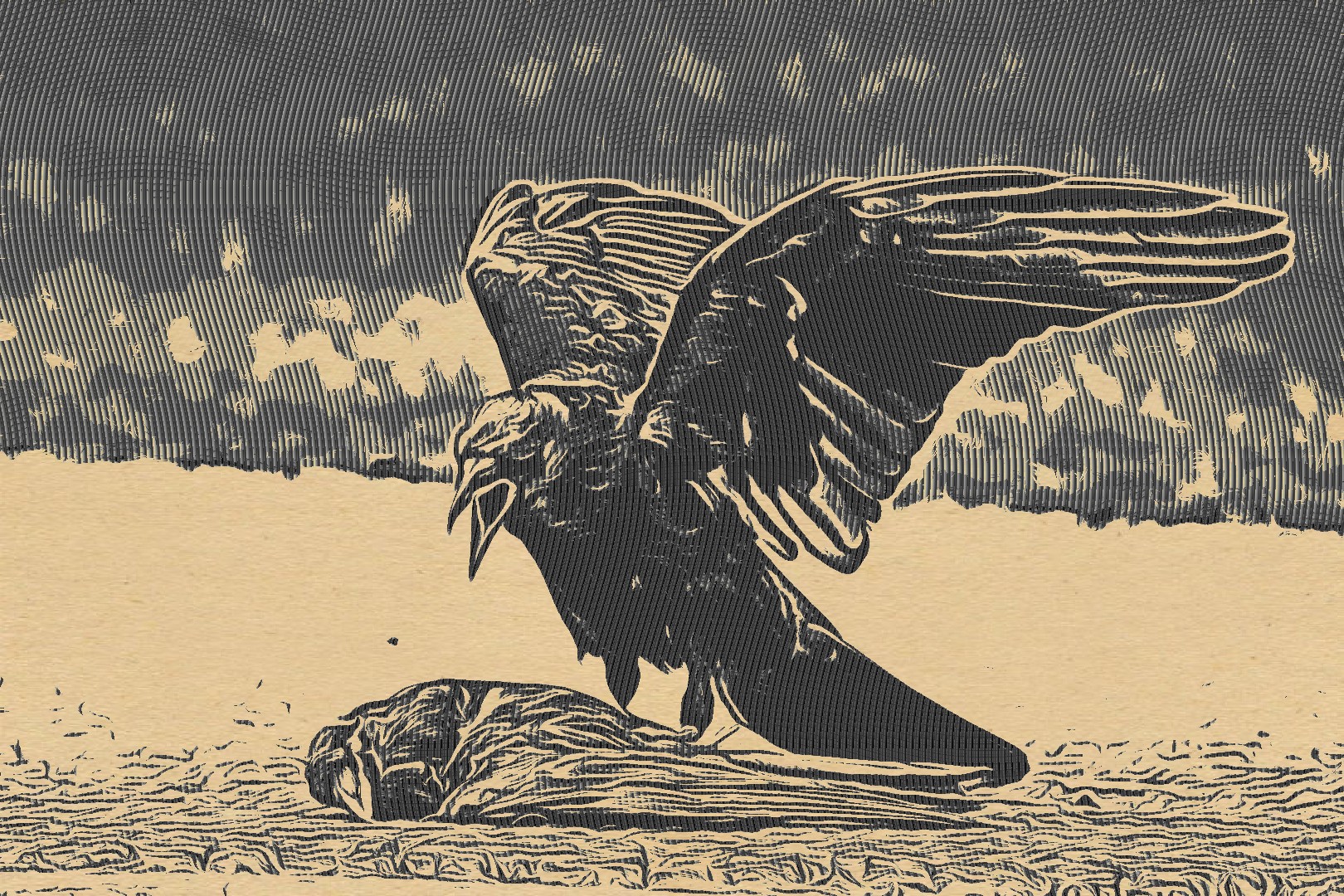 What is a crow court?