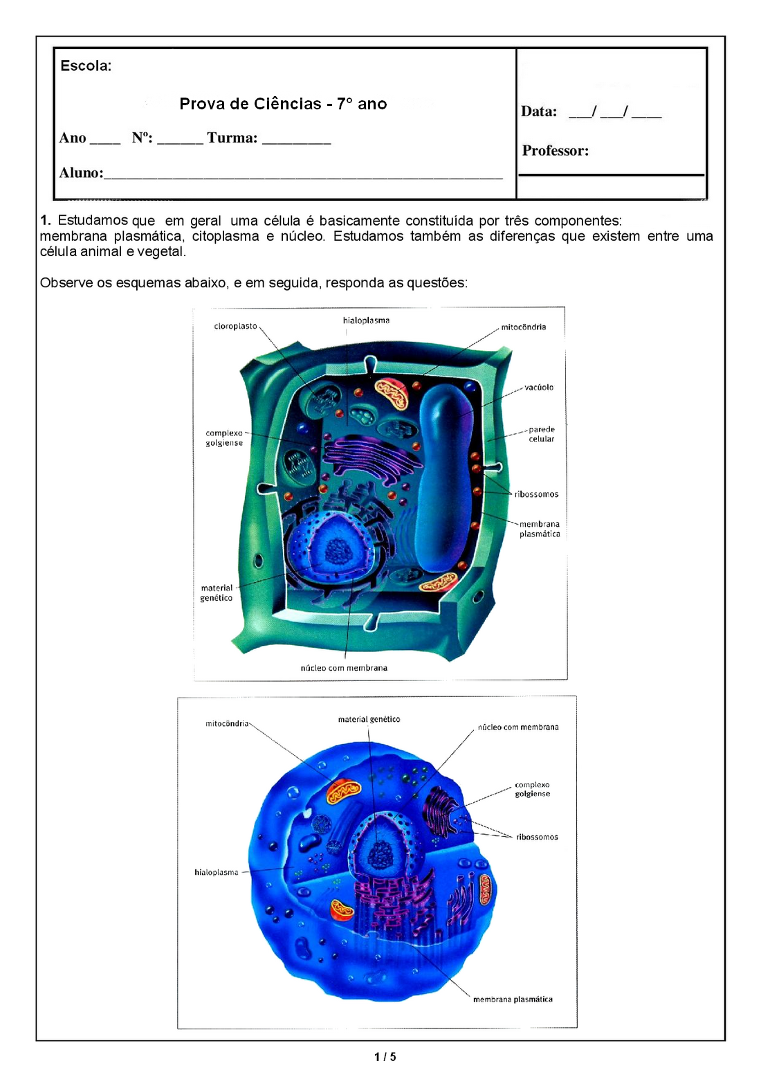 Atividade Sobre Celula 7 Ano - BINKEDU