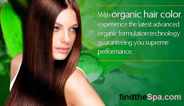 findtheSpa.com: What Is Organic Hair Coloring?