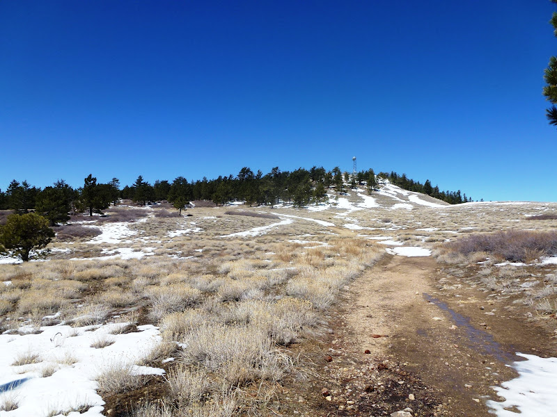 Mt. Pinos (Los Padres National Forest)