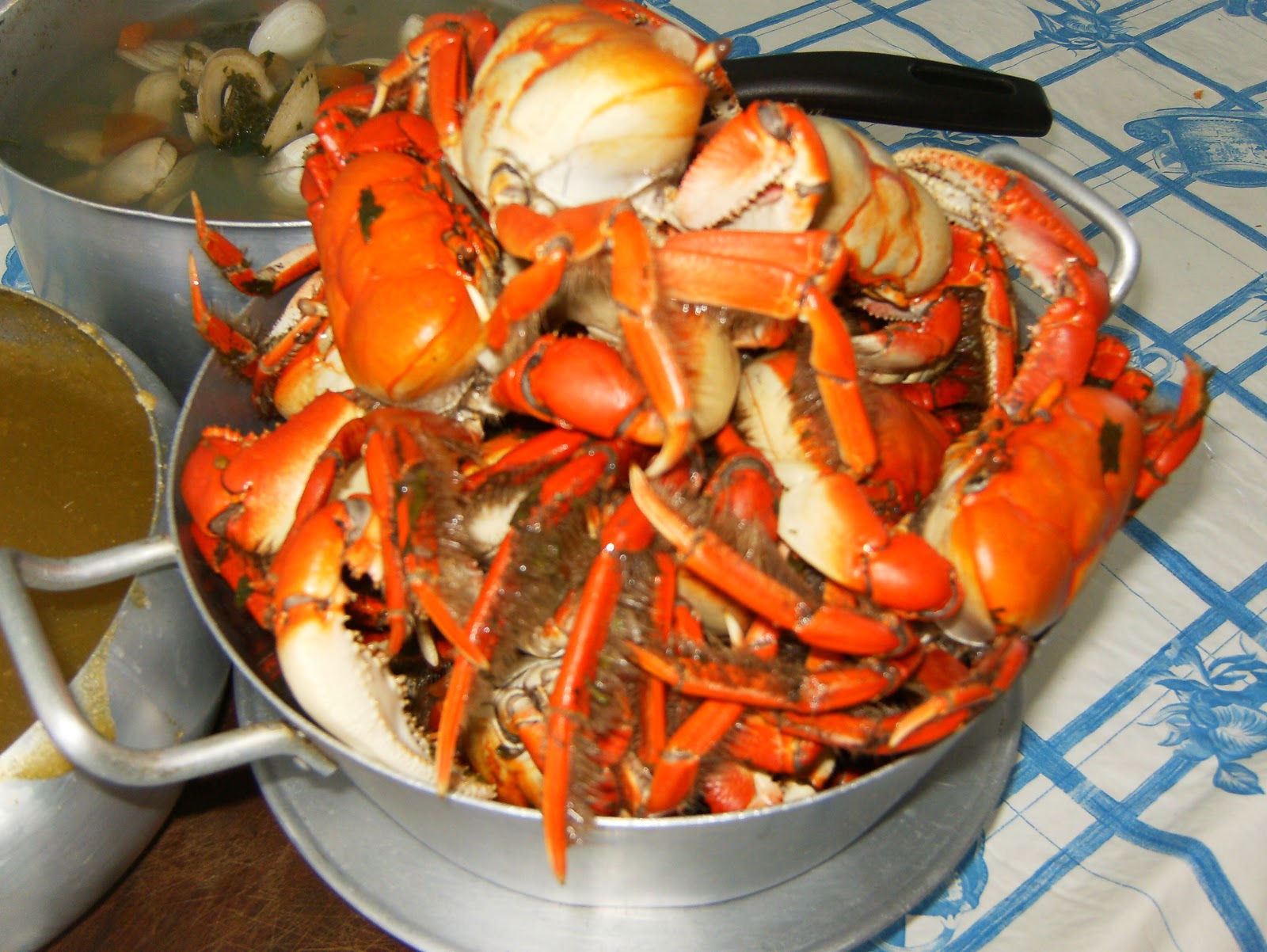 Brincar de Cozinhado: Caranguejada