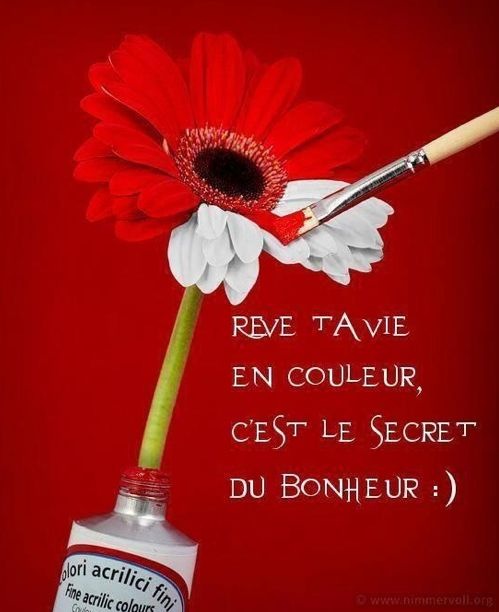 Journal d'art Québec: Citations en couleur Journal d'art Québec: Citations en couleur