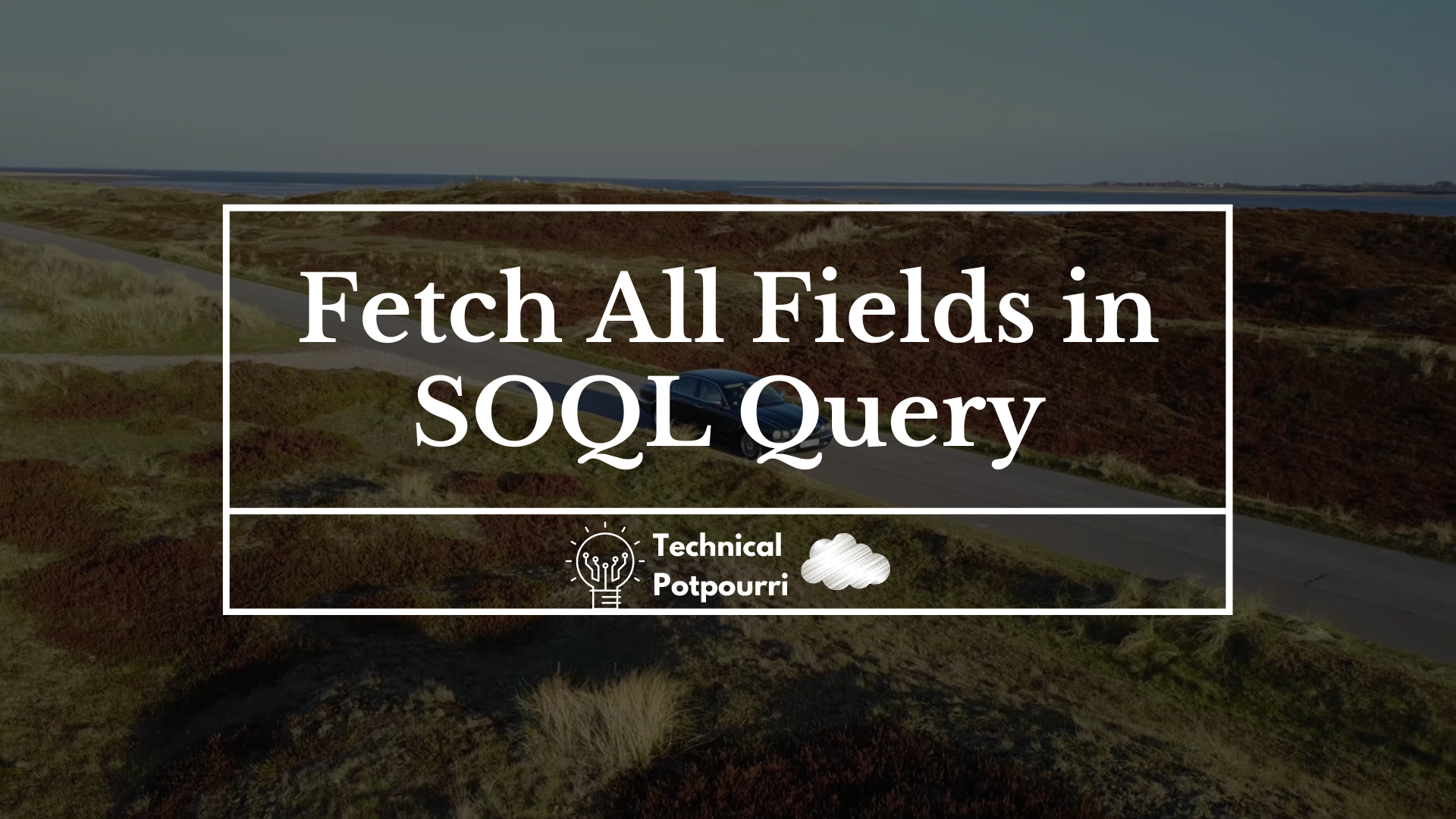 Fetch All Fields In Soql Query Spring 21 New Feature Technical Potpourri From Sudipta Deb