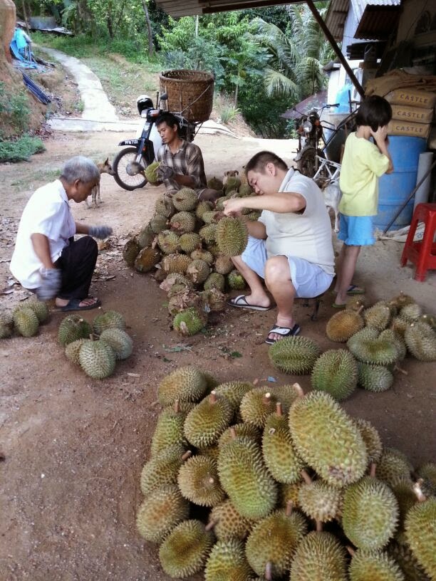 Our Journey : Penang Balik Pulau - Genting Durian party