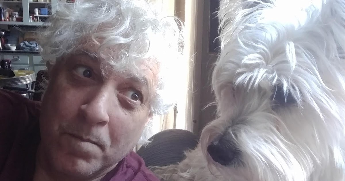 DUSIE: Tuesday poem #274 : Stuart Ross : 3