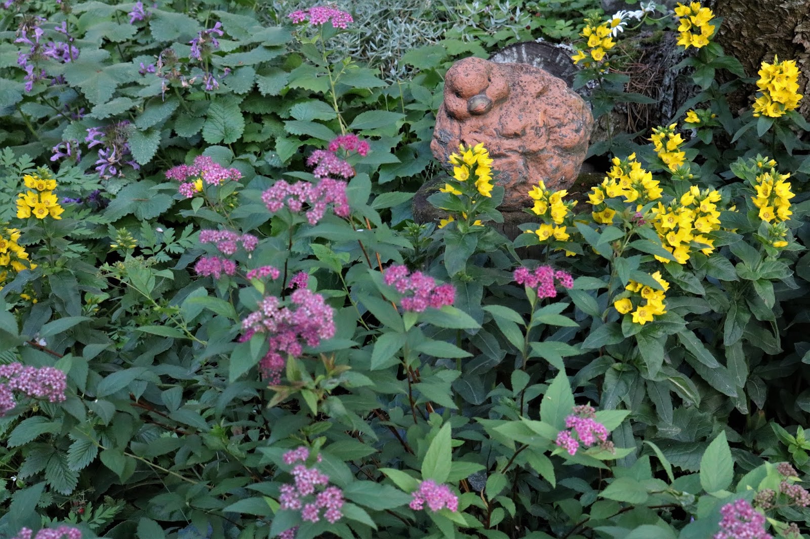 MAIKUN KUKKA JA RISU: SULASSA SOVUSSA TARHA-ALPI JA RUUSUANGERVO MÄNNYN ...