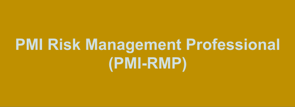 PMI Risk Management Professional (PMI-RMP) | Process News