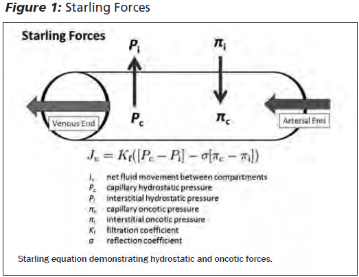 EXAMS AND ME : Starling Forces
