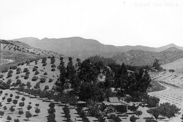 A PERSON IN THE DARK: Mary Astor: The Prisoner of Moorcrest