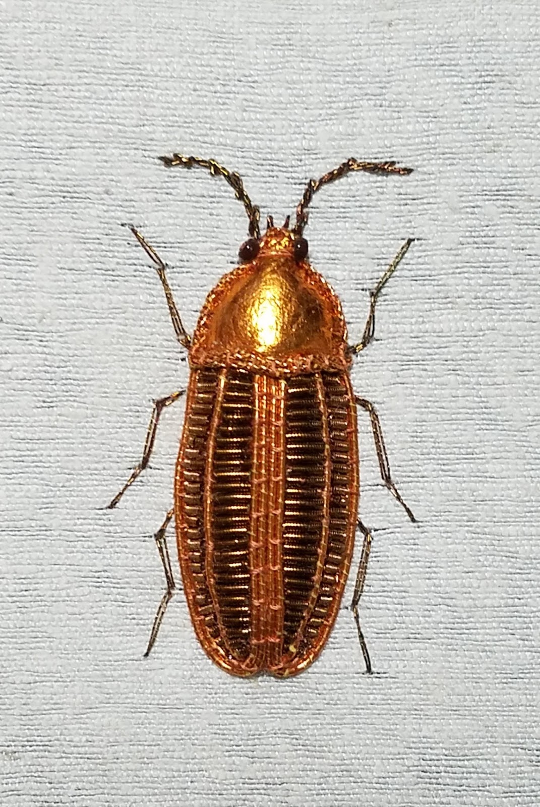 Carolyn Standing Webb: Copper Bugs and Butterflies