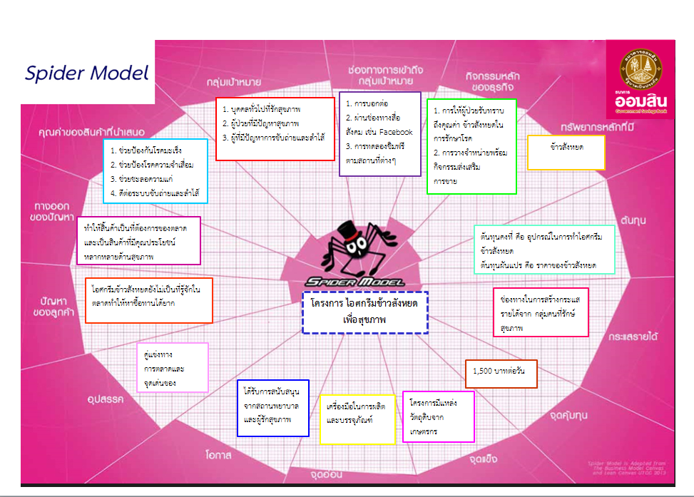 บทสะท้อนคิดเชิงระบบกับการวิเคราะห์ปัญหาG5: Spider Model
