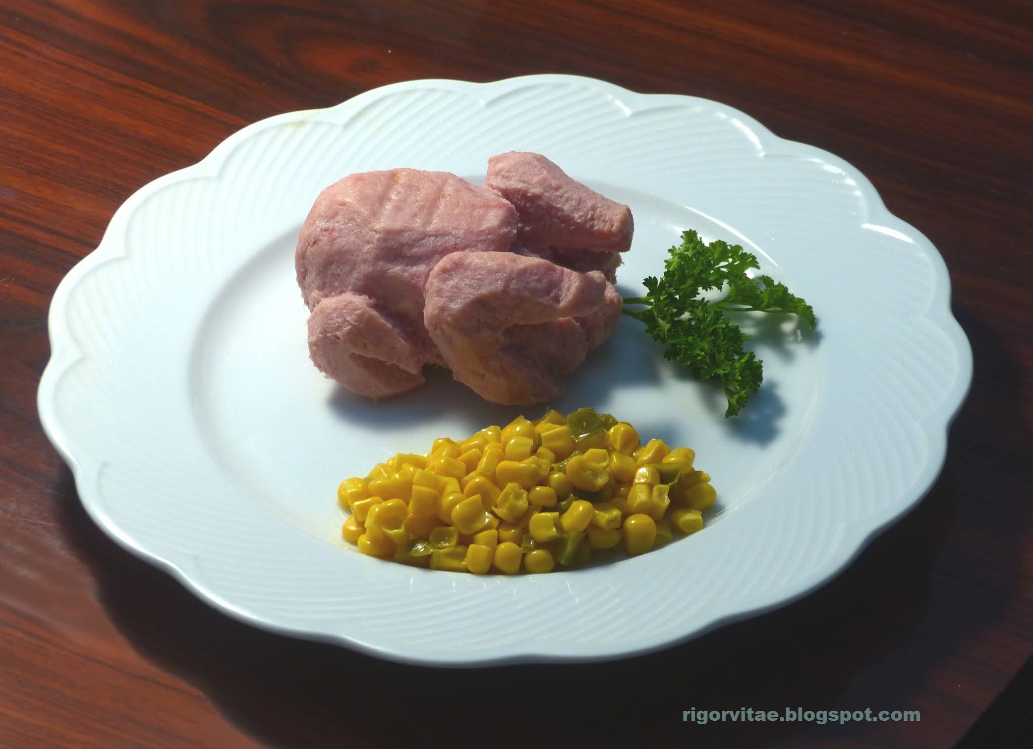 Rigor Vitae: Life Unyielding: A QUARANTINE THANKSGIVING TURKEY FOR ONE ...