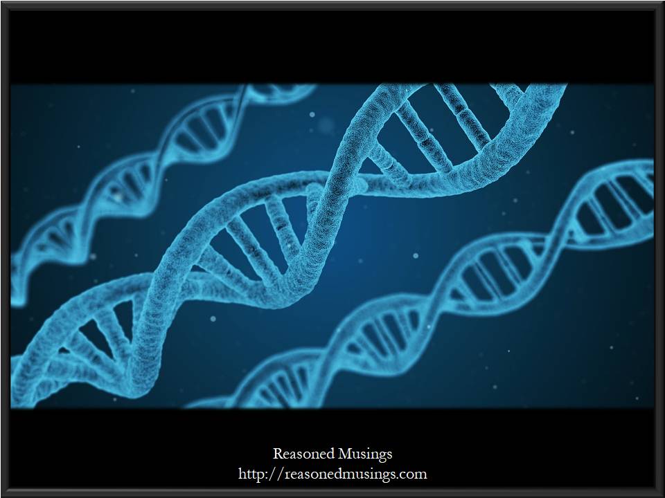 Reasoned Musings: Do We Have An Adequate Understanding Of The Origin Of ...