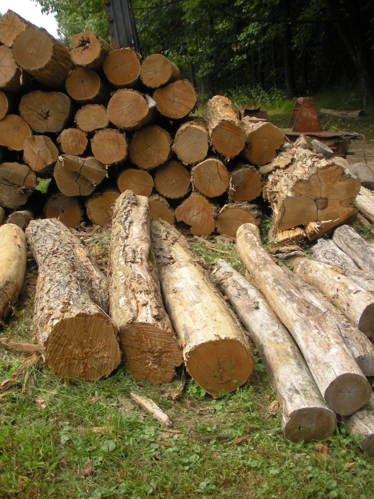 Reflections - Past, Present, and Future with God