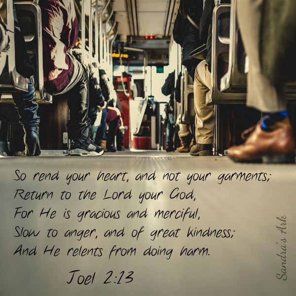 Sandra's Ark: Reading Through the Bible - JOEL