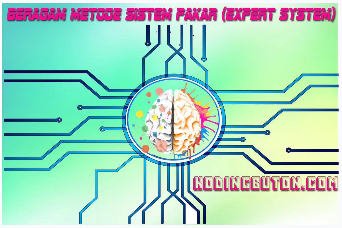 Beragam Metode Sistem Pakar (Expert System)