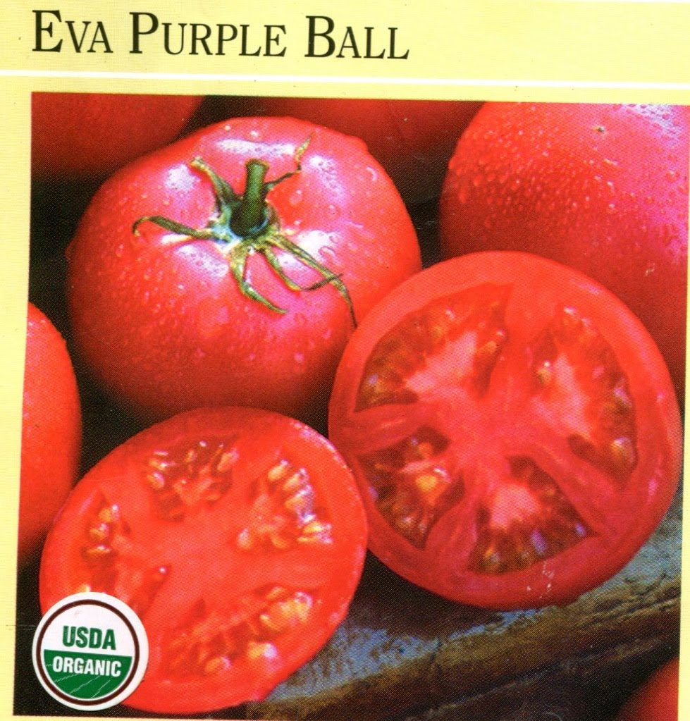 Prairie-Lakes Journeys from a Two Spirited View: Gardening 2011 Some ...