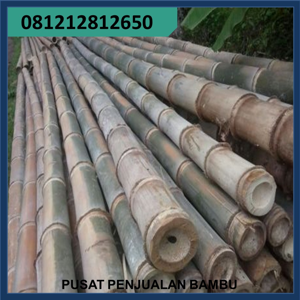 081212812650 Jual Bambu Gombong Petung Surat Apus Murah Bagus Berkualitas