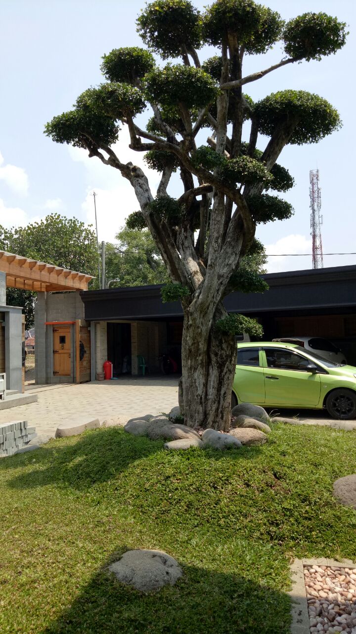 Galeri Foto Batu alam - Batu Andesit - Jual Batu Andesit