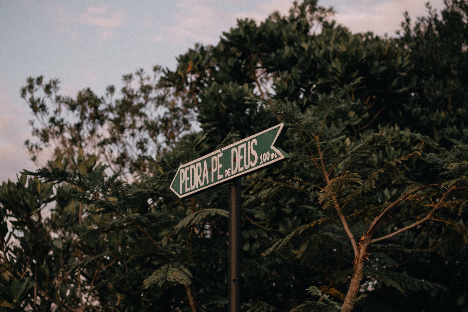 BEDA #6 - Morro do osso: Trilha ecológica em Porto Alegre | Mad Souls