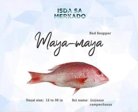 Ibat-Ibang Klase ng Isda at Iba Pang Laman-Tubig na Karaniwang Mabibili ...