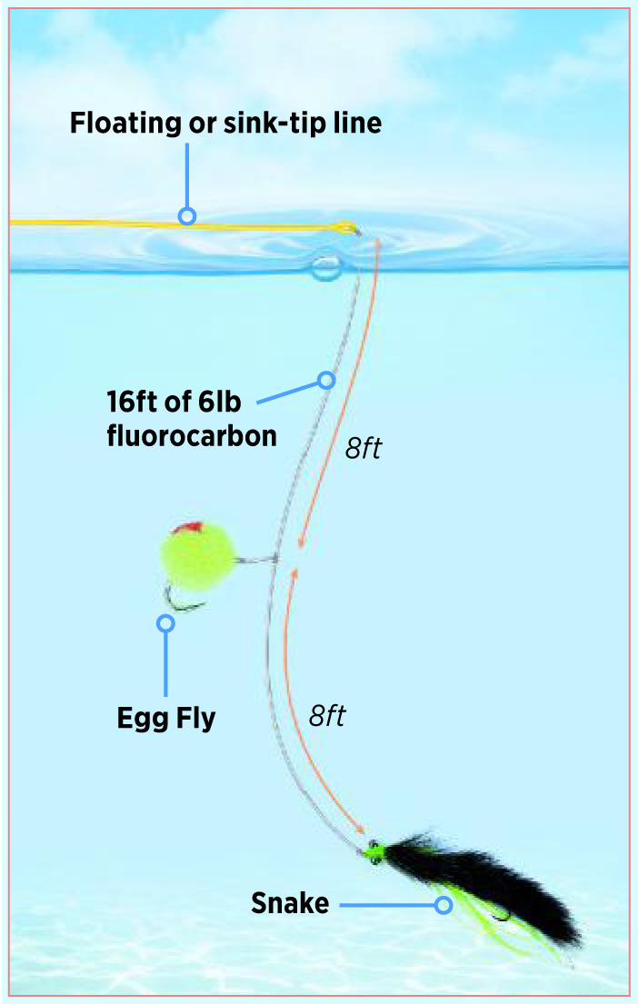 Summer Fly Set-Ups For Large And Small Stillwaters
