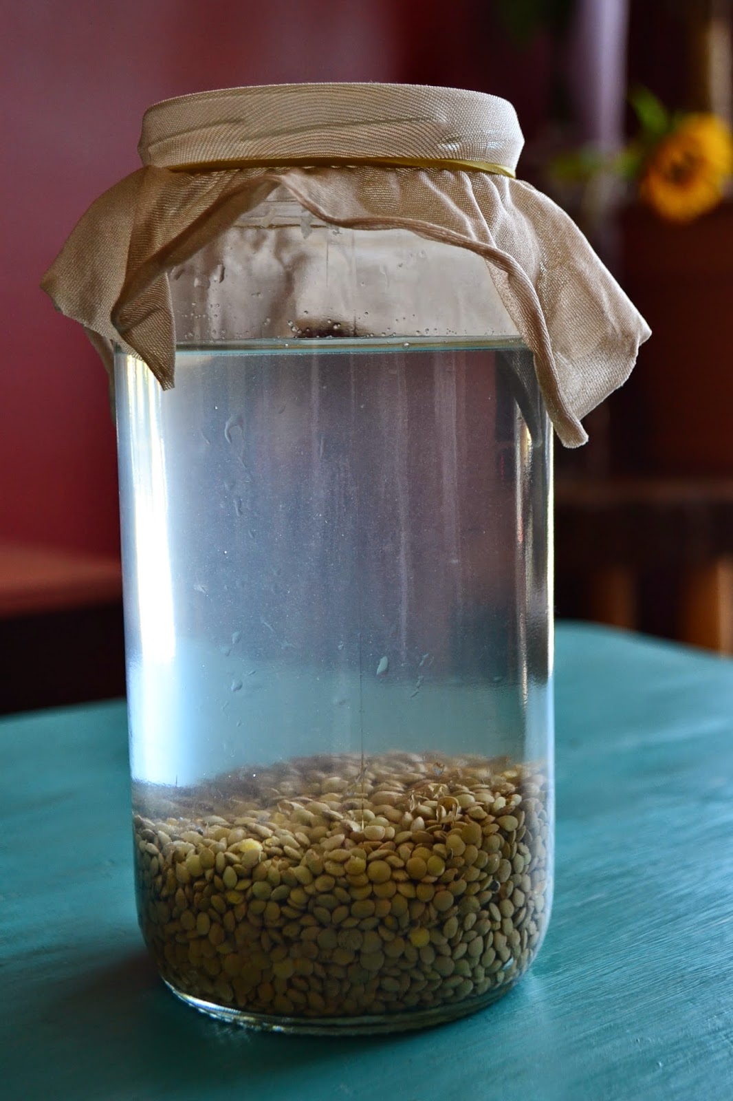 Datos y Recetas para una Alimentación Consciente: Germinados de ...