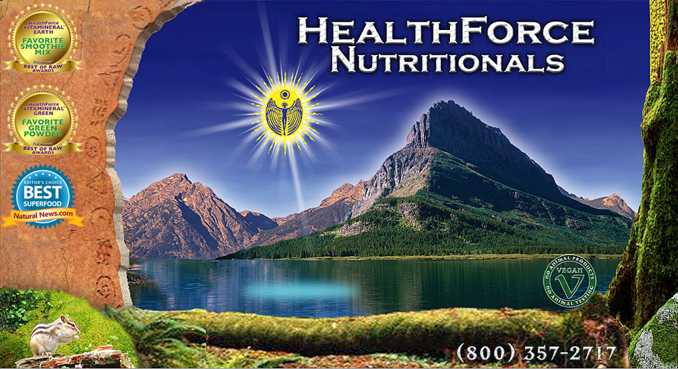Health Designs: HealthForce Nutritionals - An Evenhanded Review
