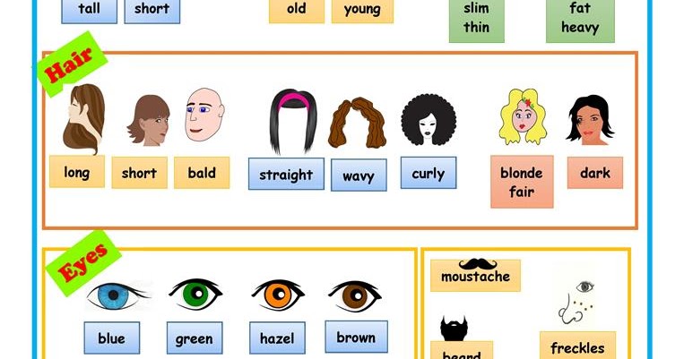 The English Learning Box: Physical/Personality Description