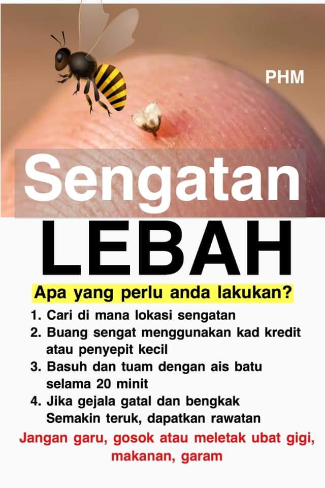 Sengatan Lebah : Apa Yang Perlu Anda Lakukan? - Blogbabyshambles.. ♥