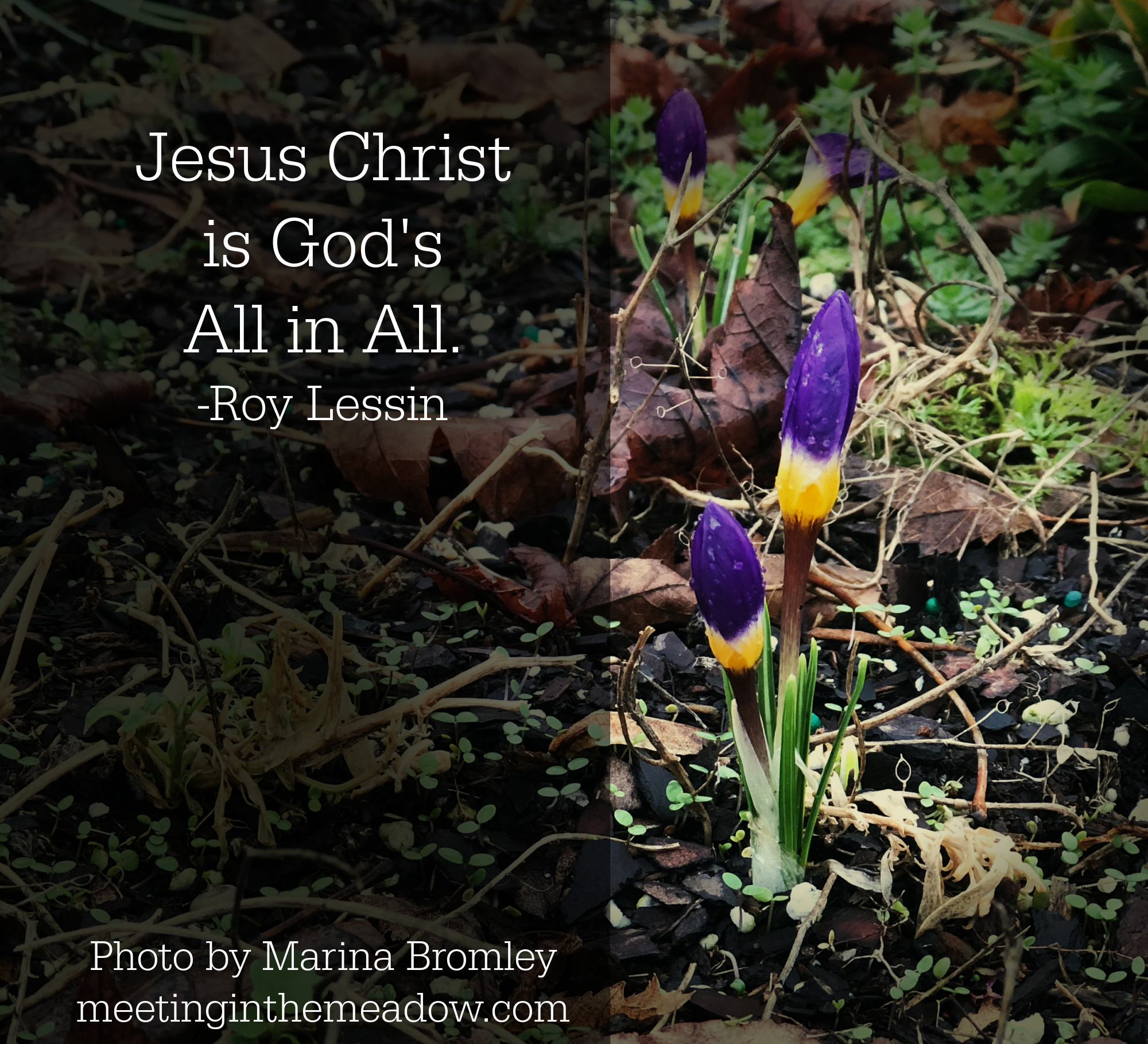 Meeting in the Meadow, by Roy Lessin: Jesus: All in All