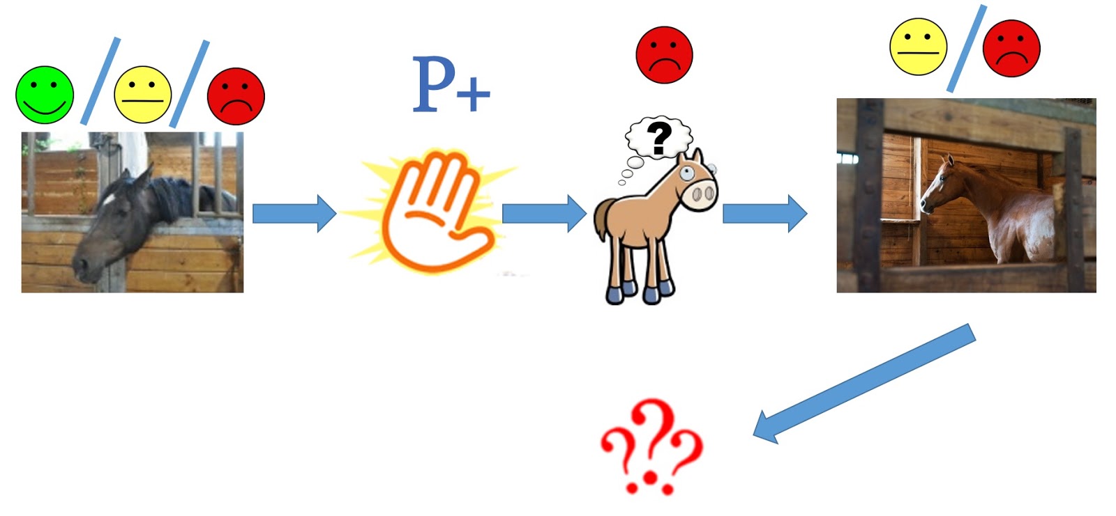 S úctou ku koňom: Kvadranty operantného podmieňovania