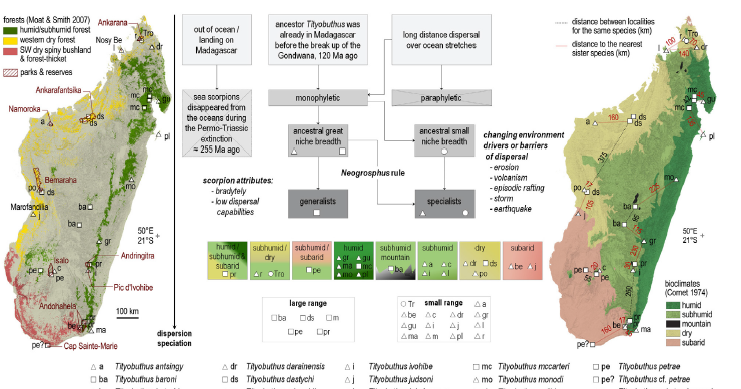 The Scorpion Files Newsblog: Distribution and biogeography of the genus ...