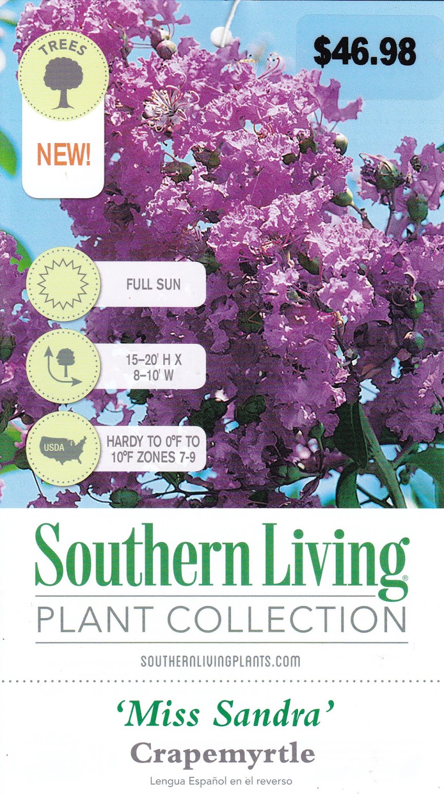 Julie Ann Brady : Blog On: Miss Sandra Crape Myrtle