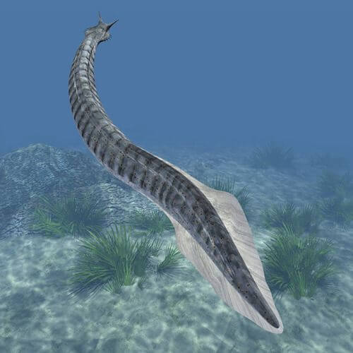 Mundo Pré-Histórico: Pikaia, o cordado mais antigo