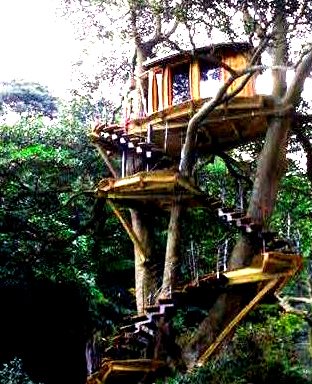 The Flying Tortoise: The Treehouses Of Japanese Designer Carpenter ...