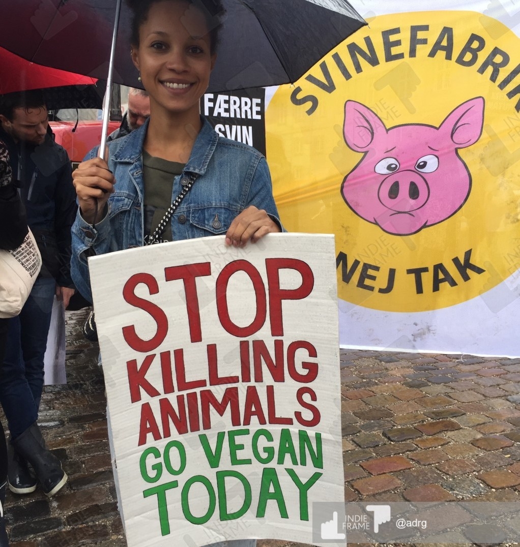 VEGANISM: A TRUTH WHOSE TIME HAS COME: The RISE OF VEGANISM; 100 PHOTO ...