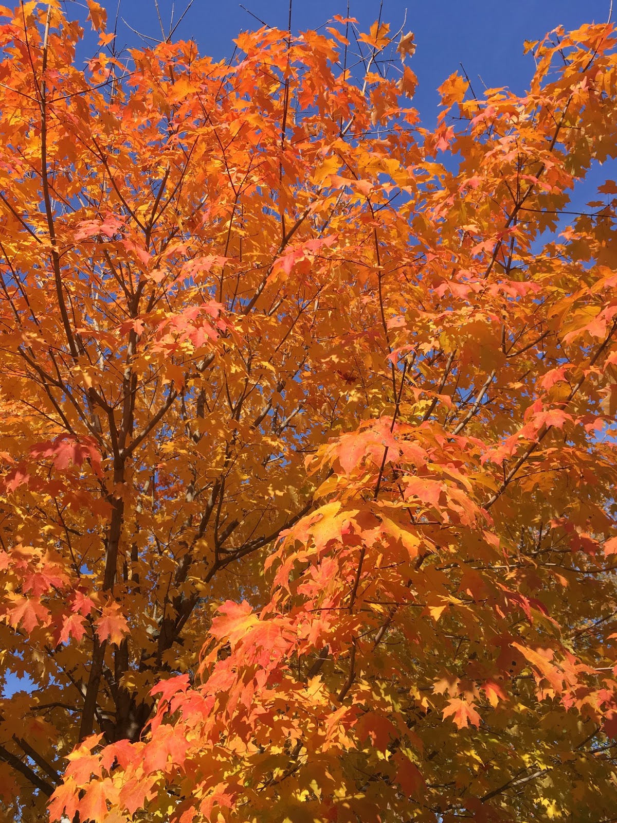 AMY INK: Fall clearance