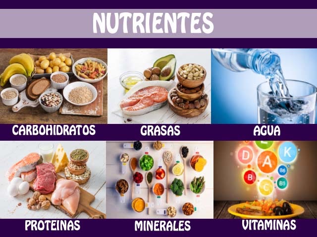 FUNCIONES DE LOS NUTRIENTES "SEMANA 7"