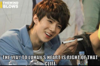 Seoul in My Spirit: EXO macros and GIF for you~...